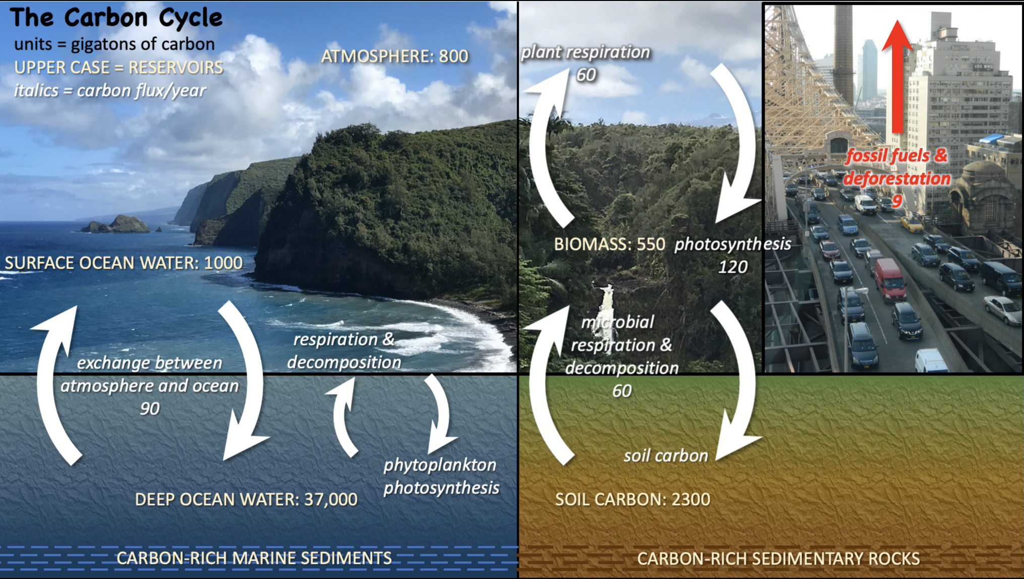 Climate Science 2: Carbon Cycle – Kitchen Climate Science